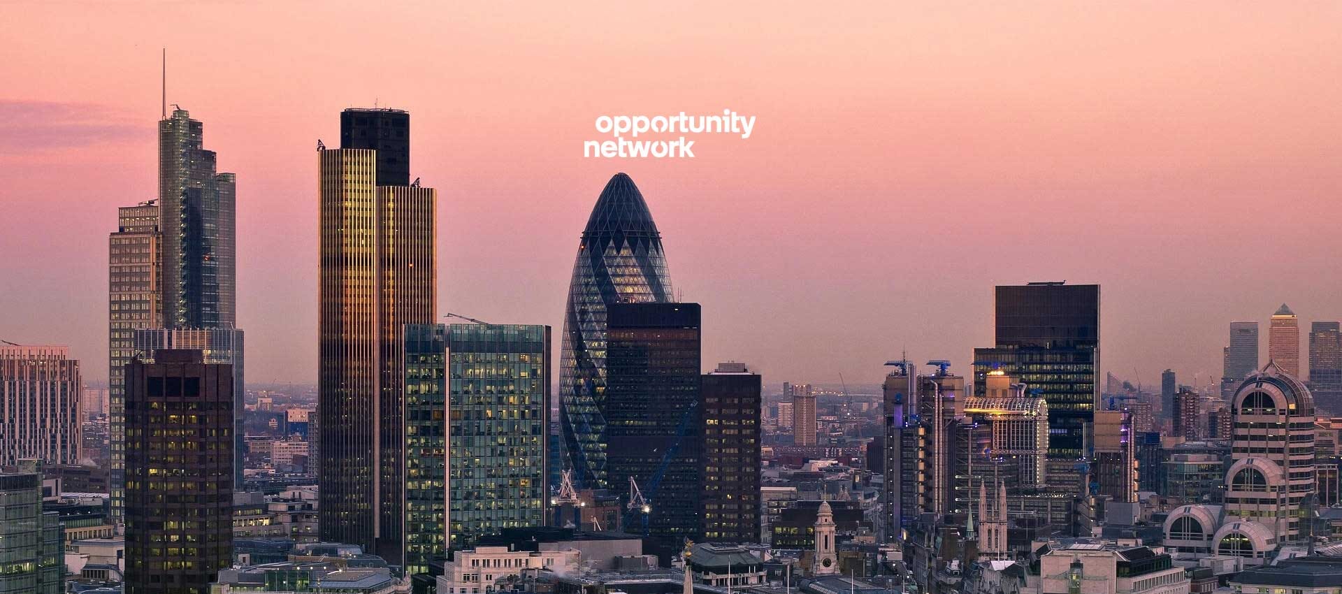 Opportunity Network - Digital marketing case study - CB/I Digital